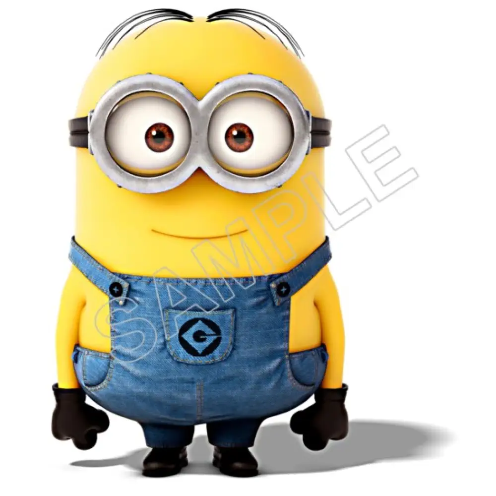 Minion Face Iron On